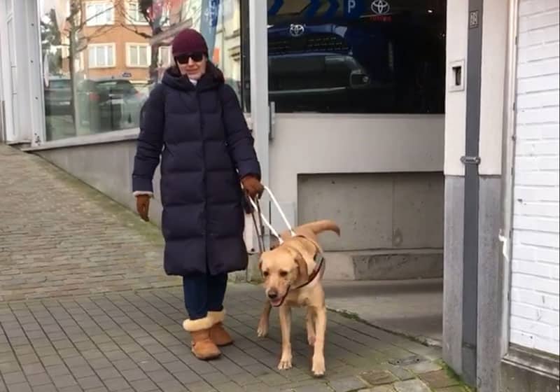 Entretien avec madame Montani, maîtresse d'Ossli - Chiens Guides Paris